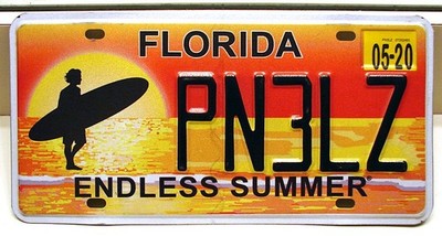 Florida ENDLESS SUMMER License Plate Surfing Surfboard Beach SUPERB ...