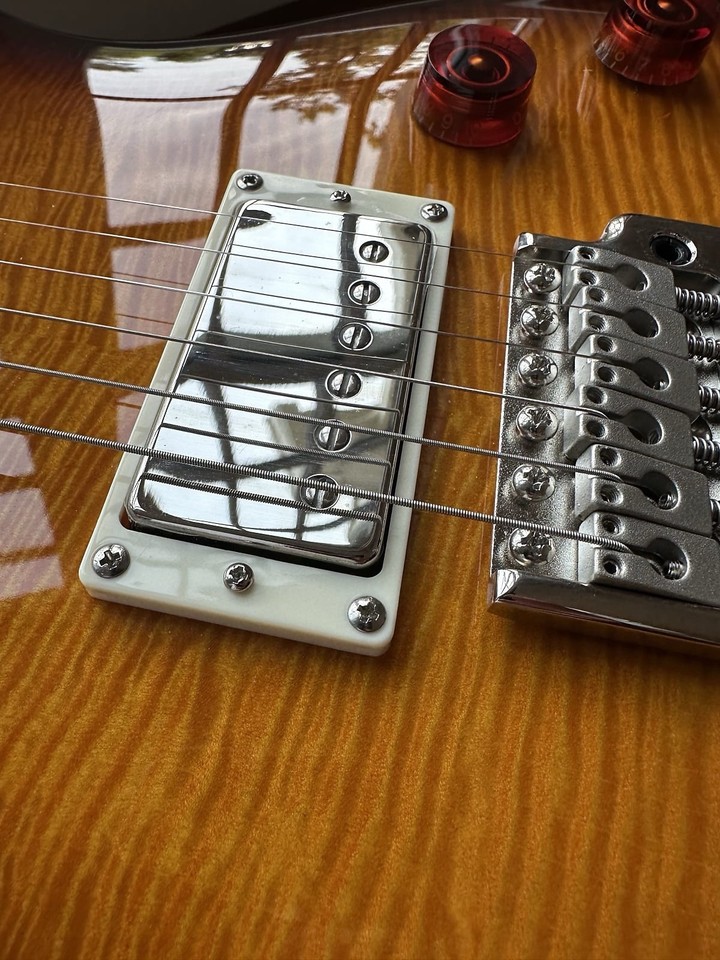 2023 PRS SE DGT David Grissom Tremolo Signature - McCarty Tobacco Sunburst | eBay