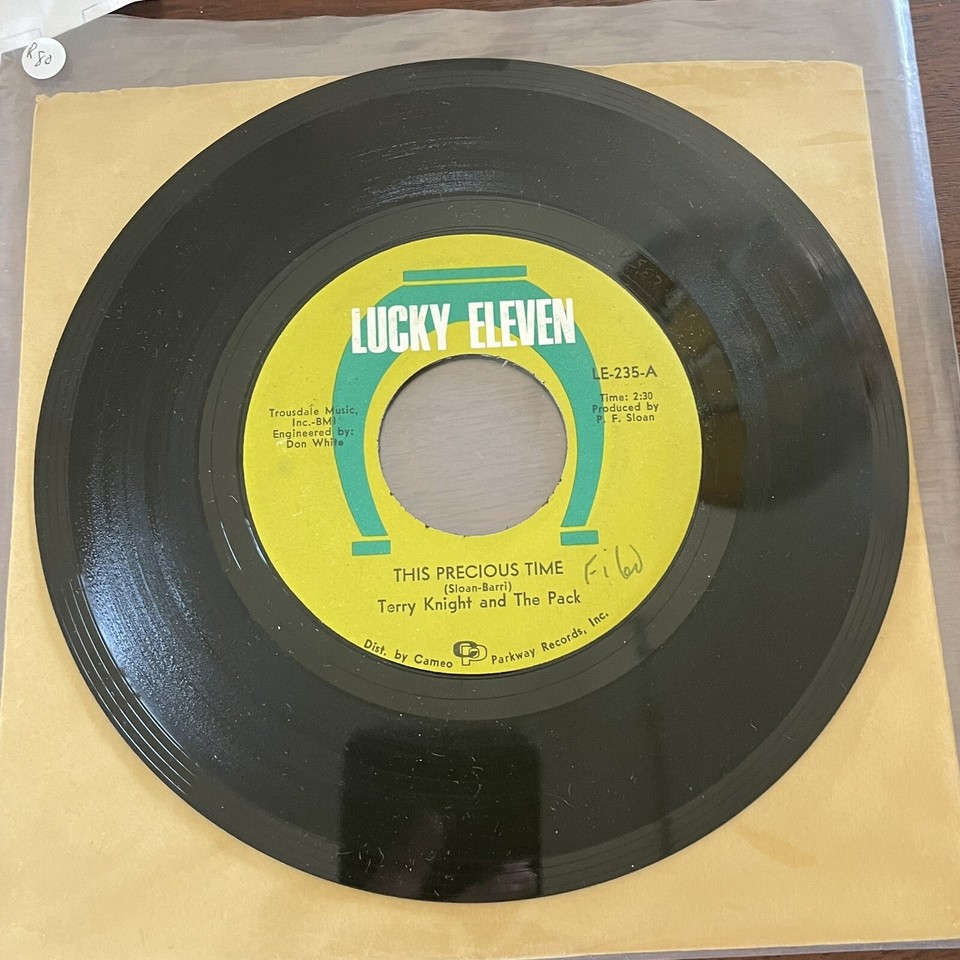 TERRY KNIGHT & THE PACK 7” Record THIS PRECIOUS TIME / LOVE Garage Soul ...