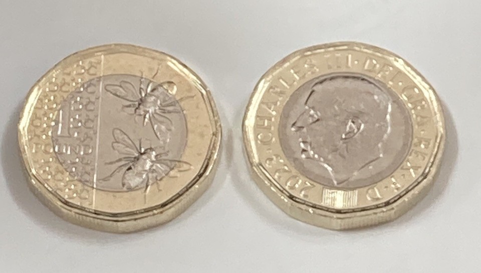 New £1 Pound Coin King Charles 2023 Circulated Collectable | eBay UK