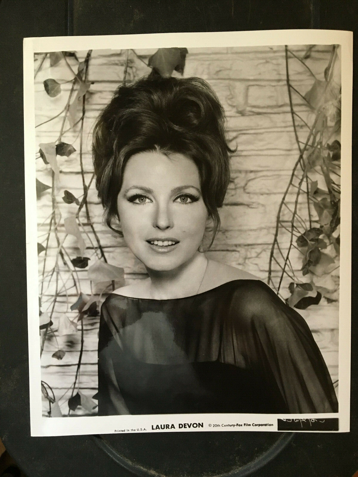 Laura Devon, 20th Century Fox Film original vintage press headshot ...