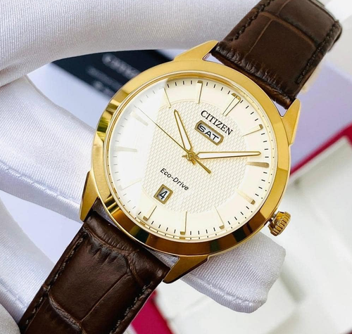 Citizen Rolan Day Date AW0092-07Q Sapphire Crystal Leather Band Watch ...