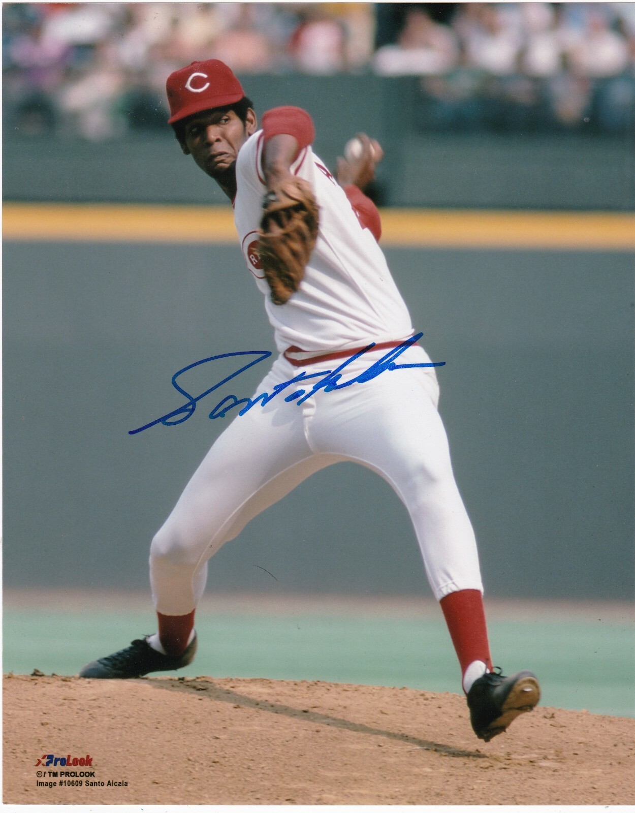 SANTO ALCALA CINCINNATI REDS ACTION SIGNED 8x10 | eBay