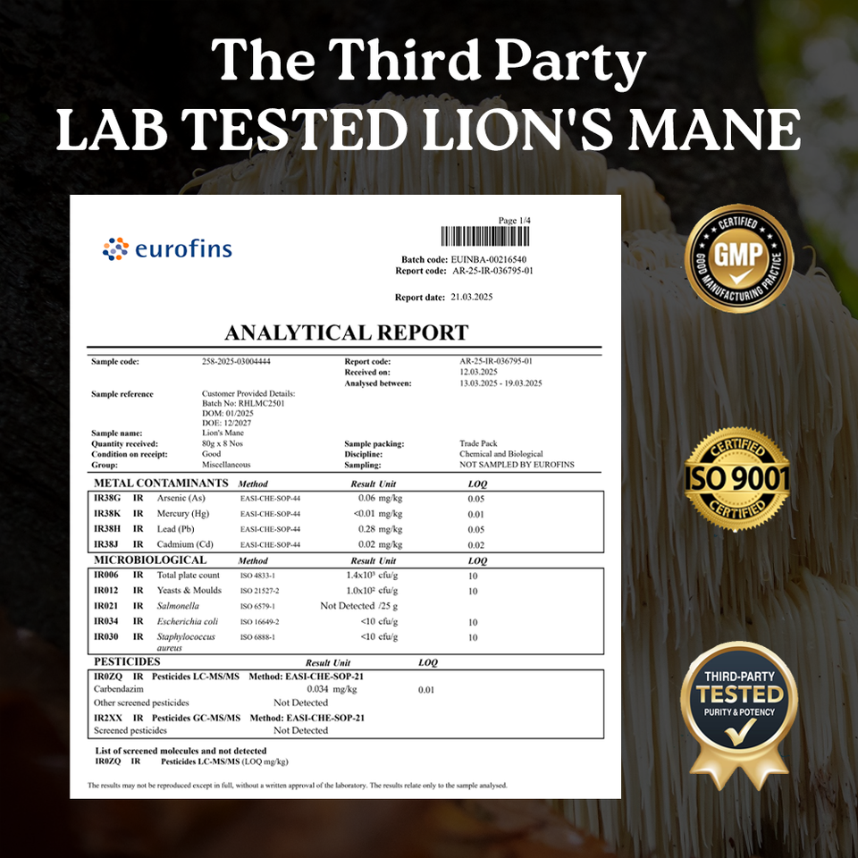Mars Lion’s Mane Caps (60N) : Powered with Moringa Powder - Pack of 1 ...