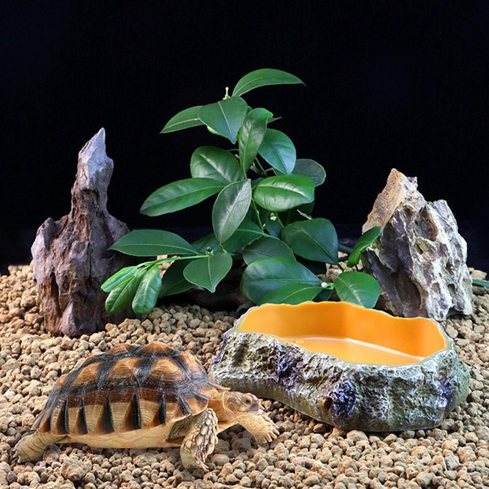 Climbing Pet Resin Food Basin Water Basin/ Bath Tub for Lizards Hermit ...