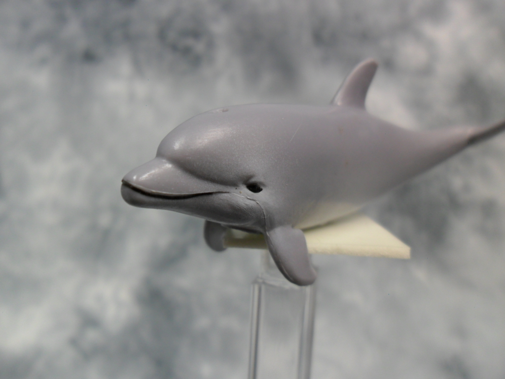 CollectA NIP * Bottlenose Dolphin Calf * #88616 Realistic Model Toy ...