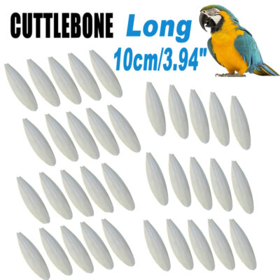3.94" 10-50PC Cuttlefish Parrot Chew Toy Bird Food Calcium Cuttlebone ...