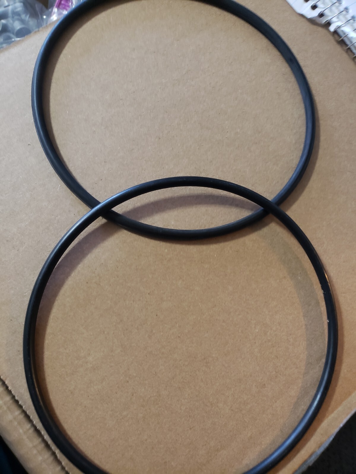 2 Replacement Pool Filter Case O-Ring | eBay