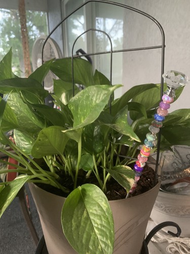 Planter Jewelry For Mother’s Day Gift | eBay