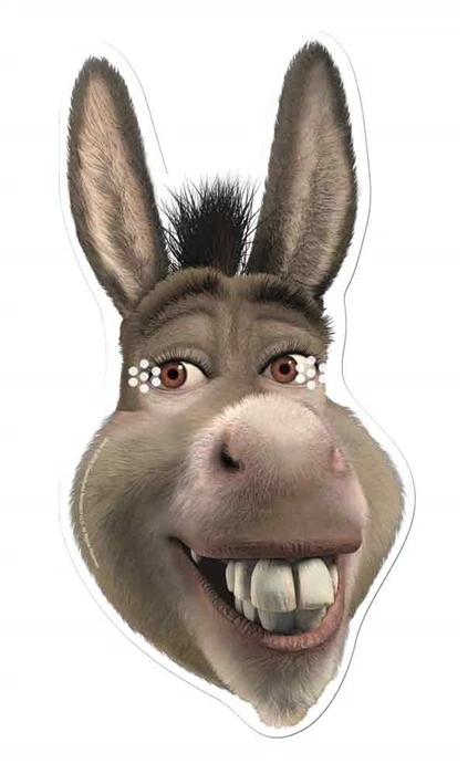 Funny Donkey Faces