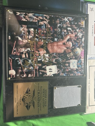 Stone Cold Steve Austin WWF Championship Plaque 1999 | eBay