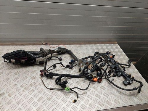 AUDI Q7 4M 06H971824B 8K1971072NB Harnais de Câbles Moteur 3.00 Petrol ...