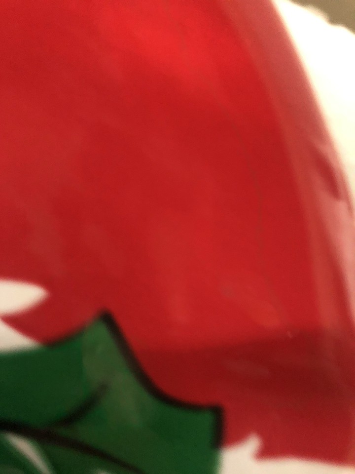 Vintage 12 x 16 LARGE Molded Plastic SANTA CLAUS HEAD Treat Tray/Wall ...