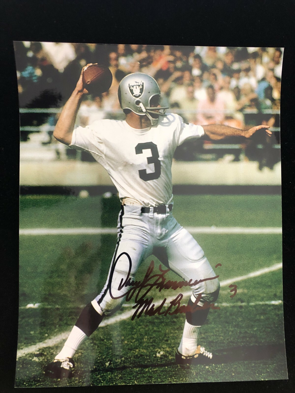 Daryle Lamonica