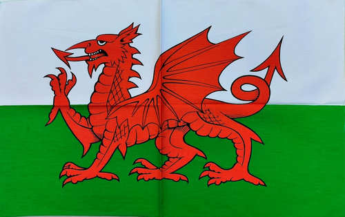 Gallois Dragon Drapeau Torchon Coton Par Samuel Lamont | eBay