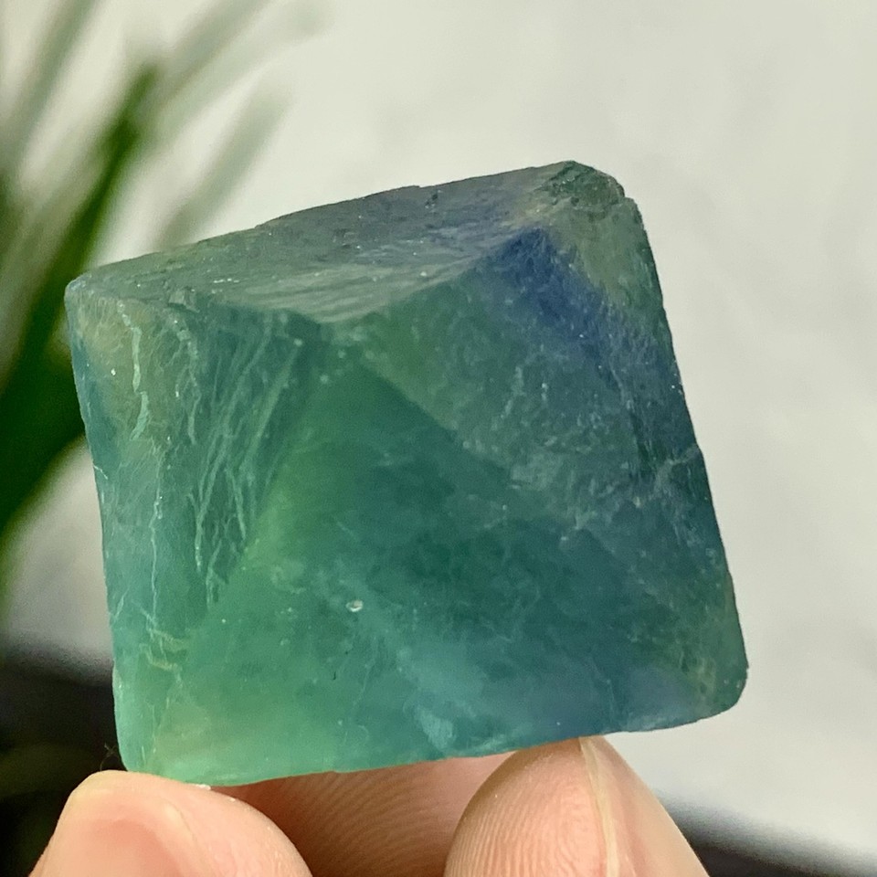 28G Natural blue green fluorite octahedron quartz crystal healing | eBay