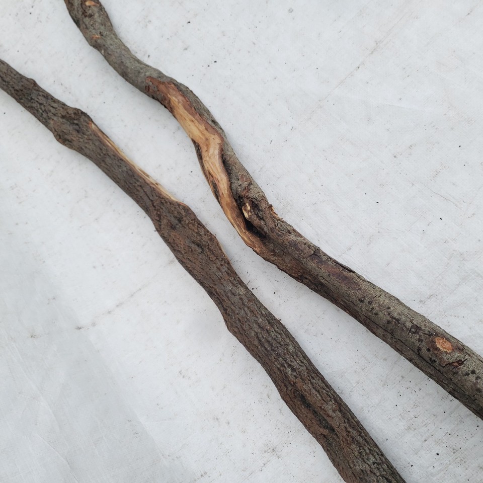 2 Diamond Willow Wood Carving Blanks 51" & 48" Walking Stick Project ...