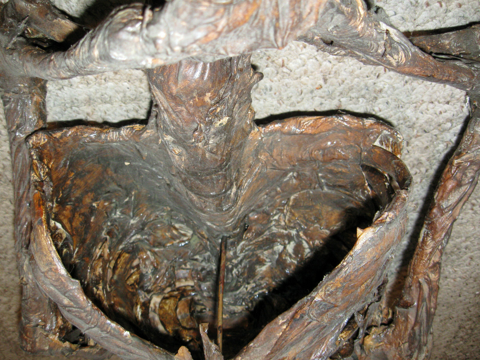 LIFE SIZE ROTTING CORPSE (MOVIE PROP) | eBay