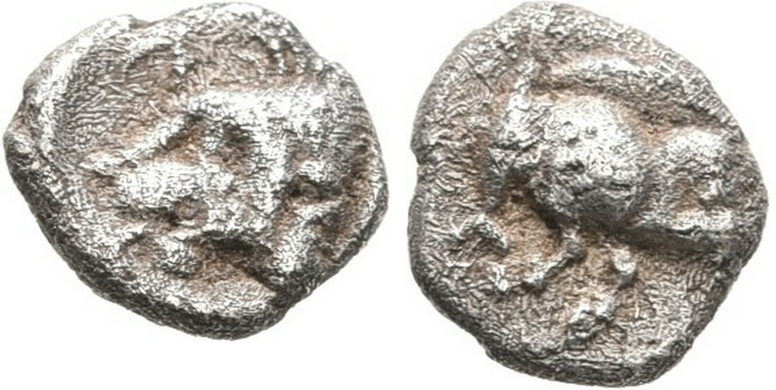 Ancient Greece 450-400 BC Mysia Cyzicus Silver Hemiobol Lion Boar #5 | eBay