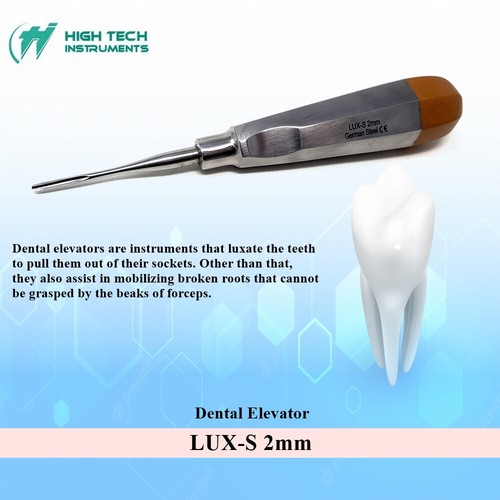 Surgical Dental Elevator Root Extraction Teeth Loosening LUX-STRAIGHT 2mm | eBay