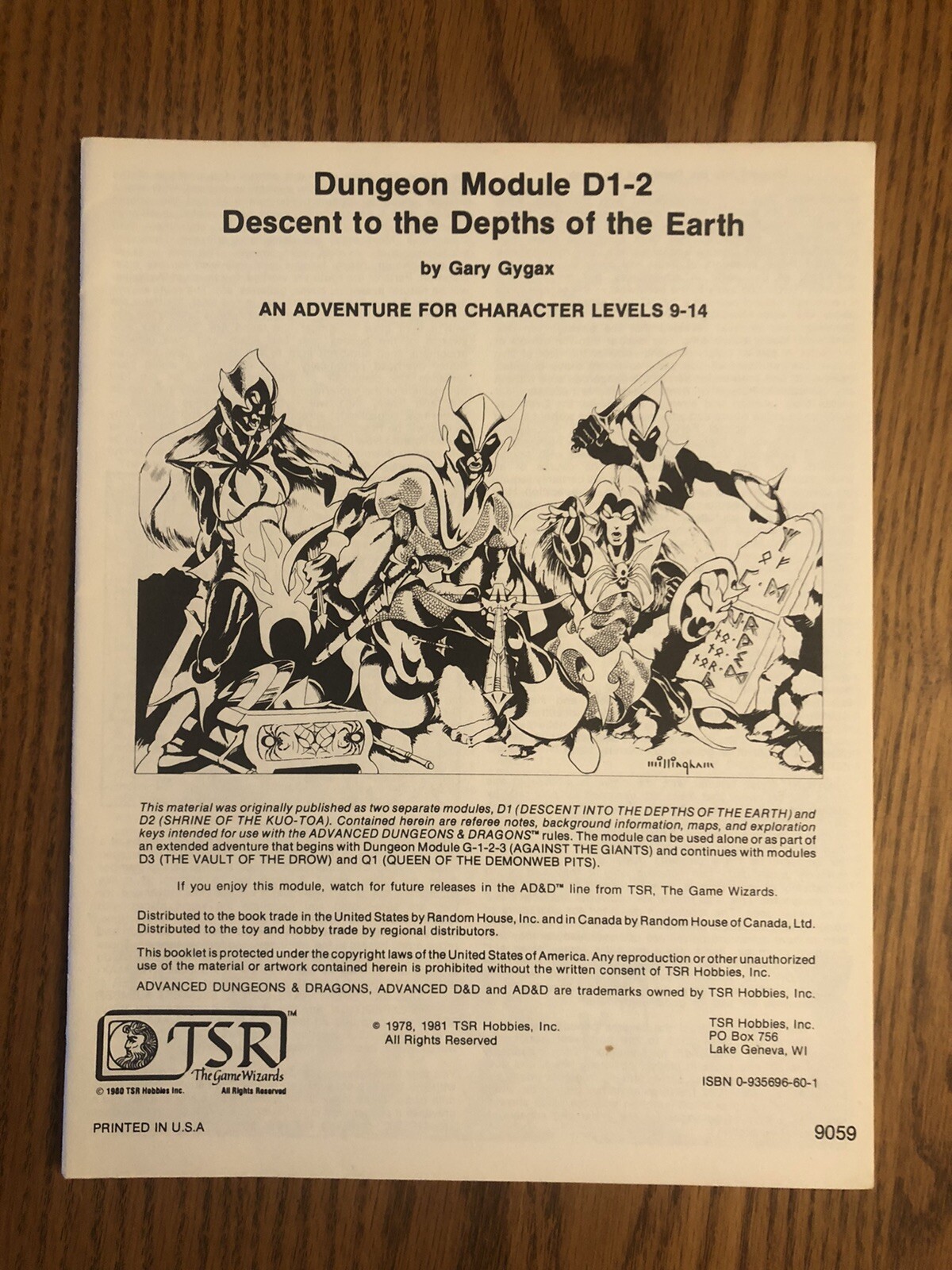 D1-2 DESCENT INTO THE DEPTHS OF THE EARTH 1981 D&D 1st Ed Module VG++ ...
