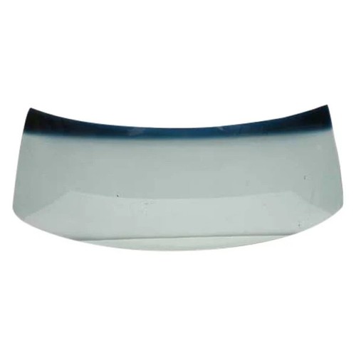 For Chevy Impala 1969-1970 OER FW722T Windshield | eBay