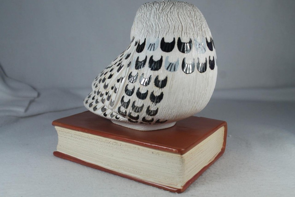 De Rosa Rinconada Large Wildlife Limited Edition #863/3000 'Owl On Book ...