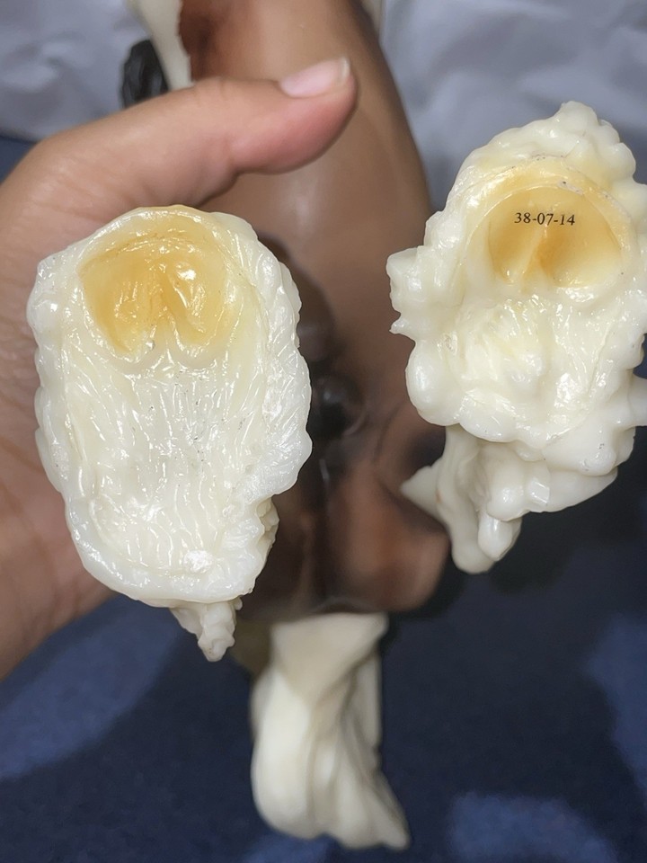 Breyer Horse #1497 Gypsy Vanner Bay Pinto Dark Variation Draft Brishen ...