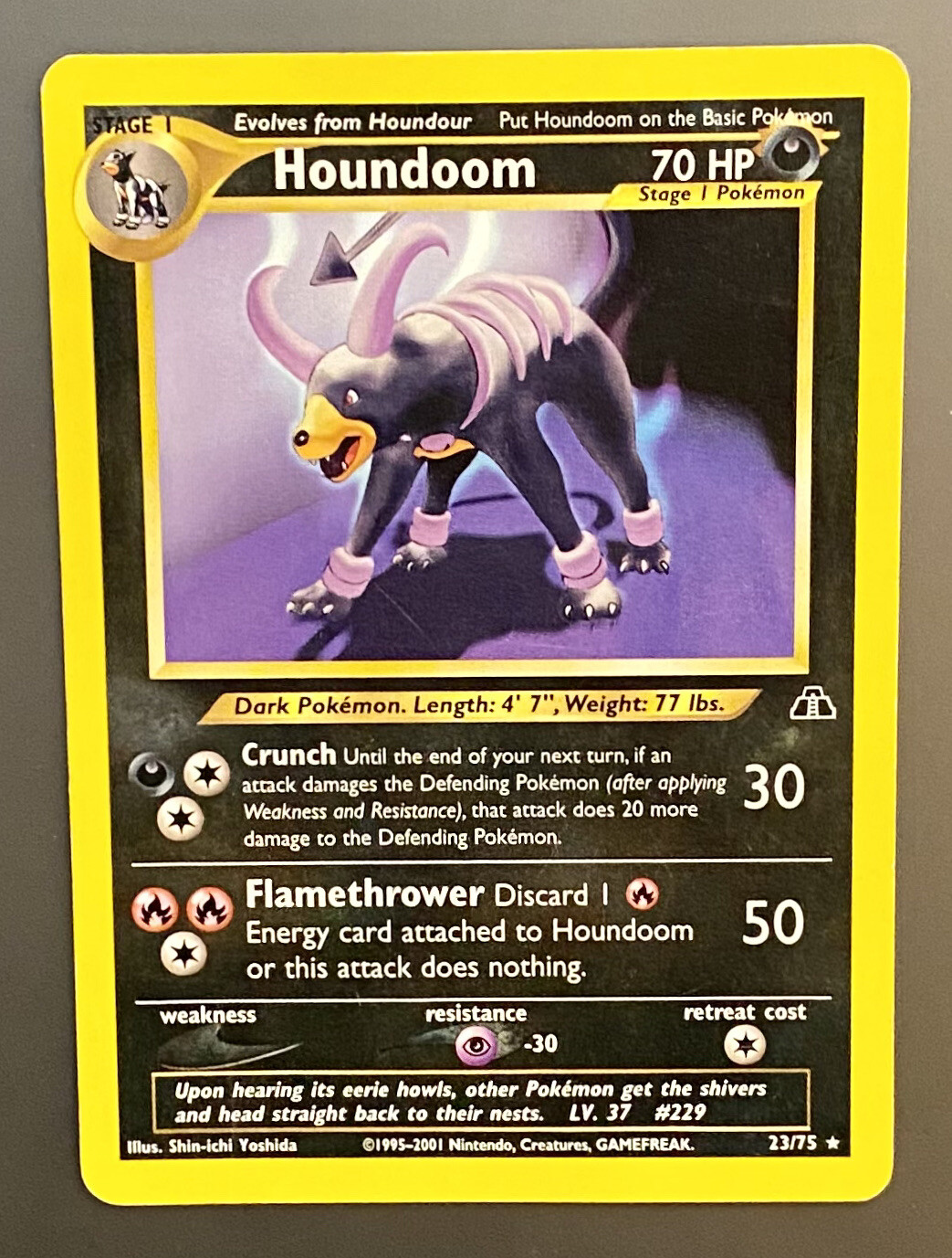 Pokemon Houndoom Card