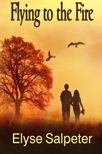 Flying to the Fire: Volume 2 (The Flying Series), Salpeter ...