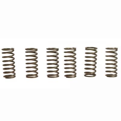 EBC CSK111 Clutch Spring Kit 6 Pcs. | eBay.de