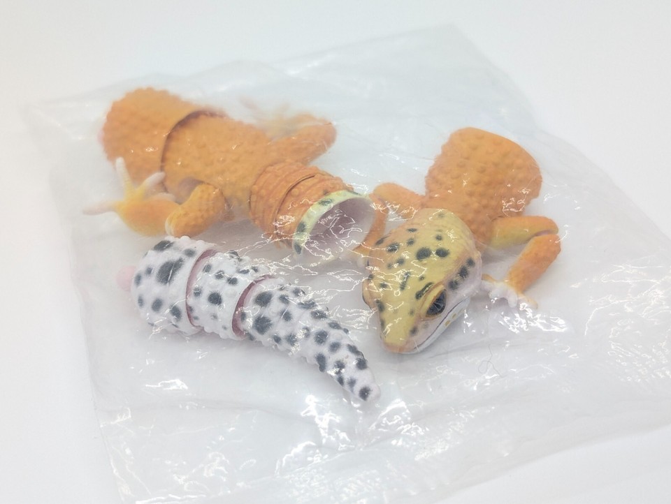 Bandai Gashapon Leopard Gecko 6.3in Realistic Figure Free Shipping from ...