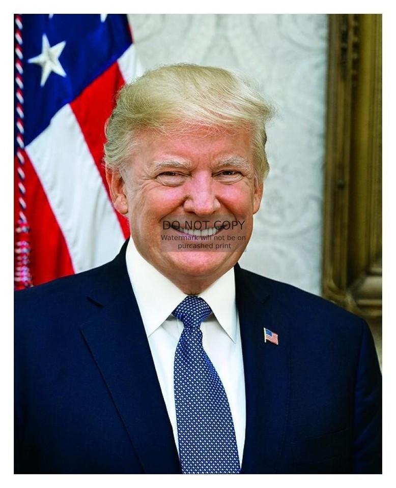 PRESIDENT DONALD TRUMP OFFICIAL PORTRAIT 8X10 FRAMED PHOTOGRAPH | eBay