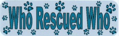 10in x 3in Who Rescued Who Bumper Sticker Cat Dog Car Window Stickers ...
