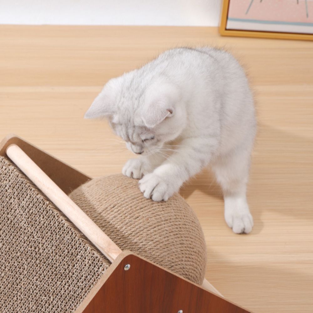 11.81*6.3*6.3 Inch Cat Toy | eBay