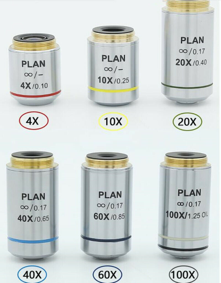 Infinity Plan Objective Lens 4X 10X 20X 40X 60X 100X for Olympus ...