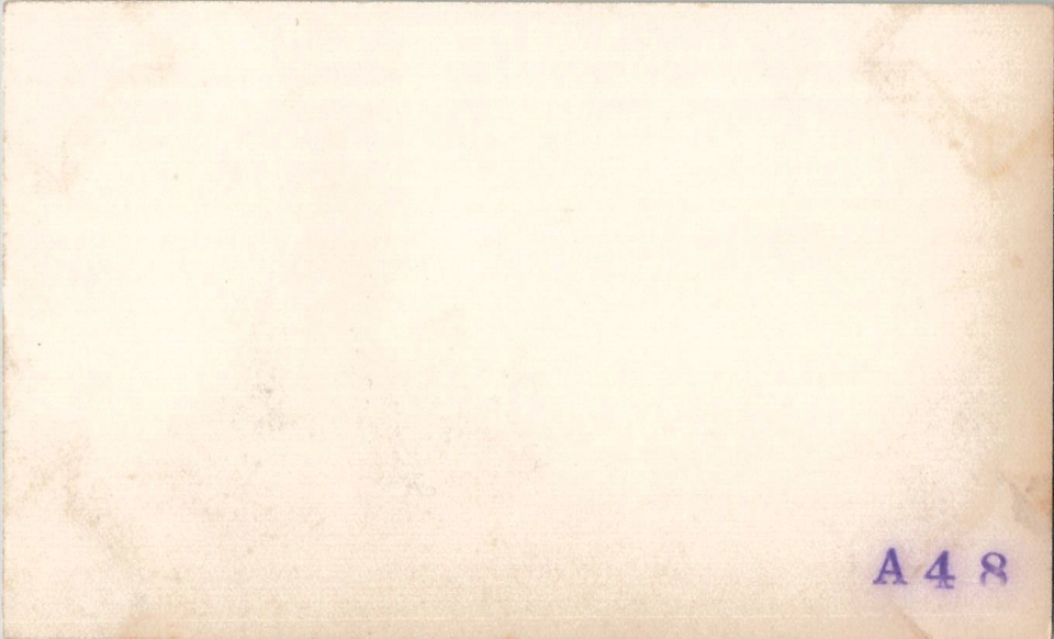 Fat BBW Flapper Women Tomboy Discreet Lesbians 1920s Vintage Photo Gay ...