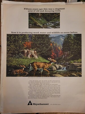 1969 Weyerhaeuser Timber Tree Farm Mother Deer Baby Fawn Vintage ad | eBay