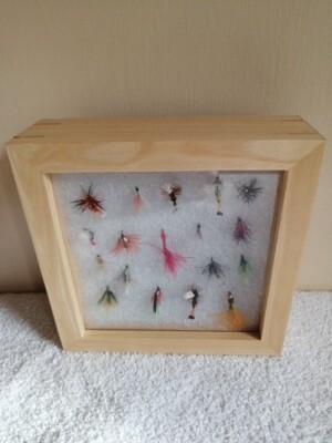 Flies - Fly Display