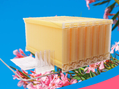 7 x Auto Seep Bee Frames Beekeeping Supplies Beehive Frames Honey Bee ...