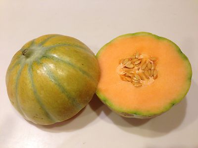 MEANINGFUL BEAUTY CANTALOUPE Cucumis MELON SEEDS (50) NON GMO CINDY ...