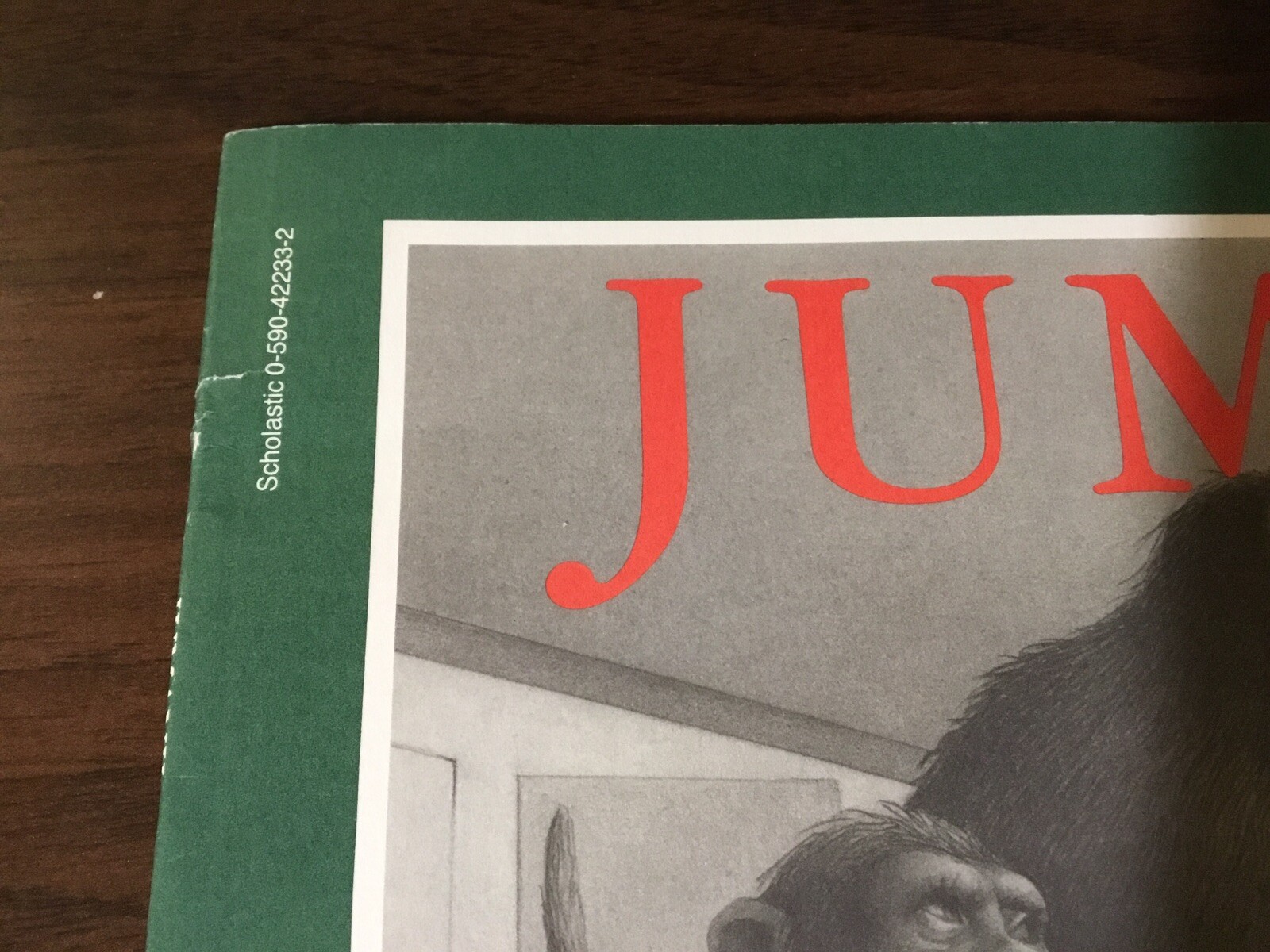 Jumanji by Chris Van Allsburg 1988 Paperback Book for sale online | eBay