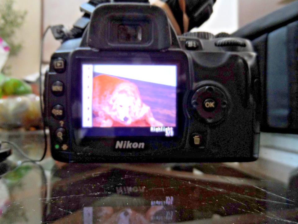 NIKON D60 DSLR CAMERA DIGITAL TESTED BUNDLE HIGH END DX 55-200 LENS 8 ...