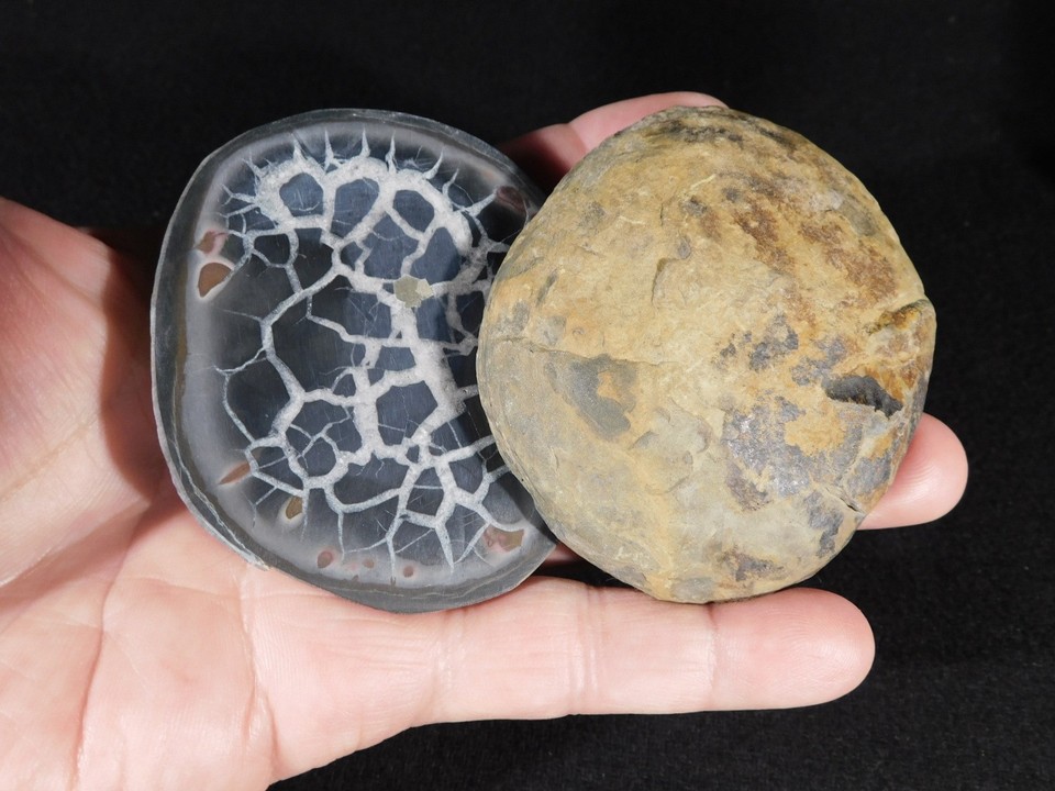 Neat! Lighting Like Pattern! Split and Polished SEPTARIAN Nodule ...