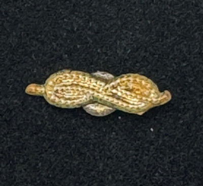 Masonic Cable Tow Lapel Pin | eBay