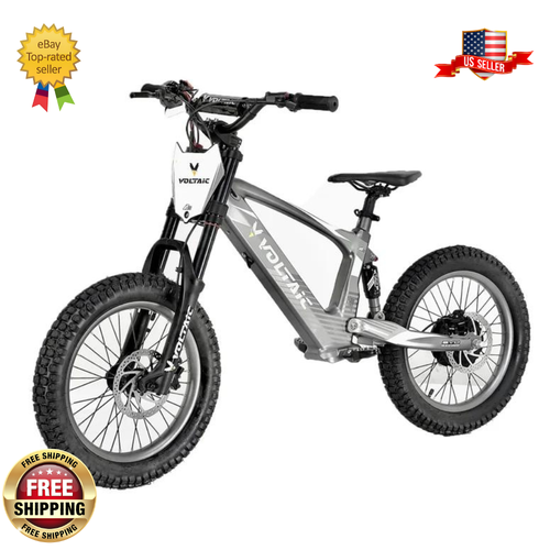 36V 500W Flying Fox Electric Dirt Bike - 18'' Off-Road E-Bike for Youth ...