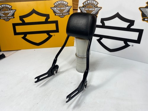 Obsolete🔥OEM Harley Slim Blackline Sissy Bar Detachable Passenger ...