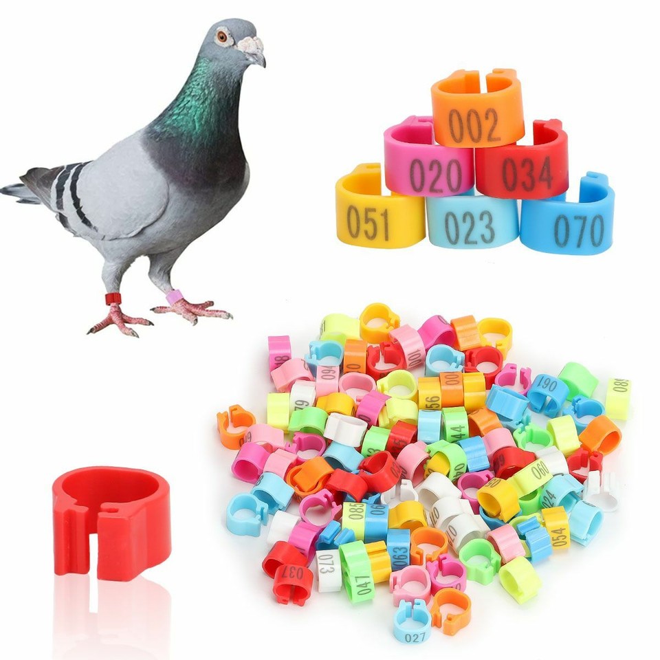 100pcs Leg Bands Plastic Chicken Pheasant Poultry Duck Bird Leg Rings ...