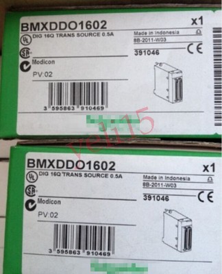 1PC NEW For Schneider BMXDDO1602 1PCS NEW PLC Output Module | eBay