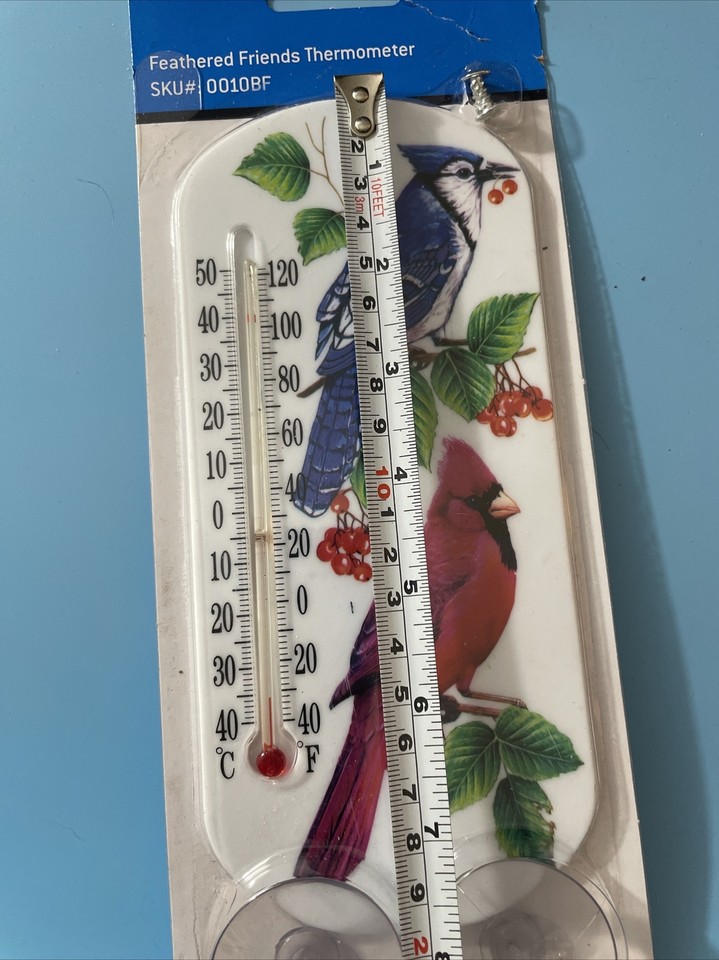 Vintage Feathered Friends 8” Indoor/Outdoor Thermometer Wall Or Glass ...